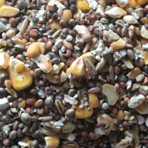 Home - Perfected Particles