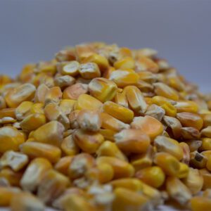 Home - Perfected Particles